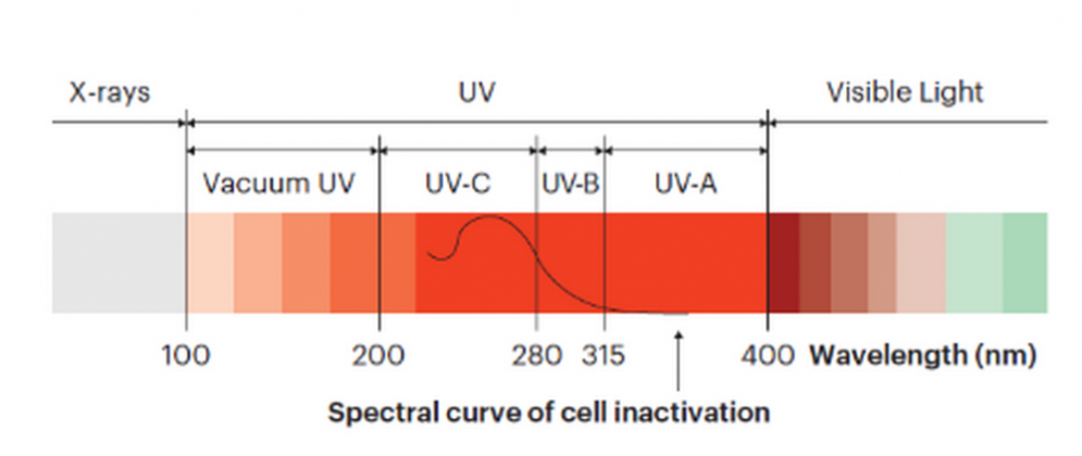 UVC lights and airborne microorganisms: a step further in air ...
