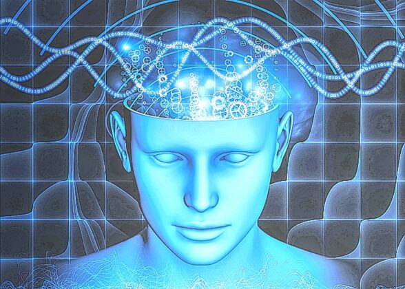 San Diego Wisdom Scale successfully abbreviated to just 7 questions ...