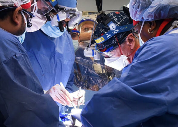World first: Transplant of pig heart on terminal US patient - Juta ...