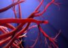 FDA passes lab-grown blood vessel despite major concerns - Juta ...