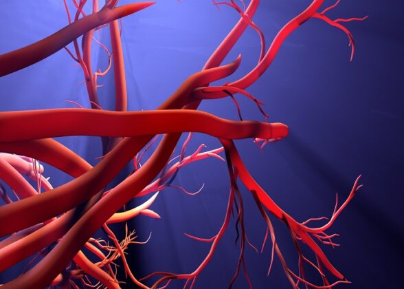 FDA passes lab-grown blood vessel despite major concerns - Juta ...